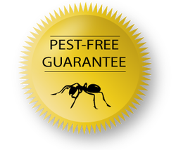 About Us - Greenway Pest Control